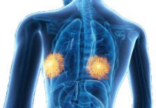 Current Promotion - Lifeline Cell Technology