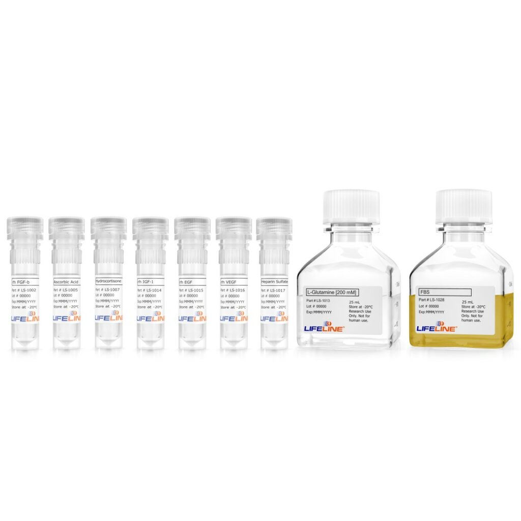 Microvascular Endothelial Cells VEGF Kit