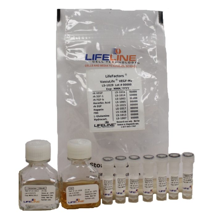 Microvascular Endothelial Cells VEGF Kit