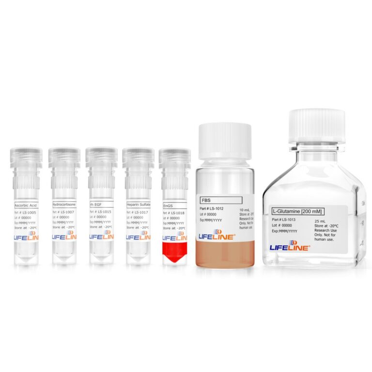 Primary Endothelial Cell Culture Media