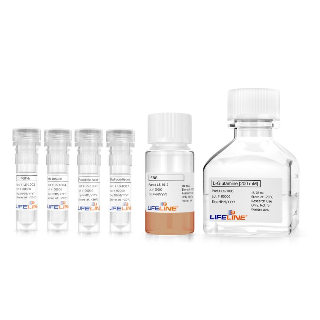 Primary Human Fibroblast Media