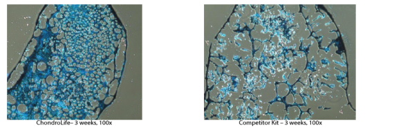 Chondrogenesis Differentiation Medium