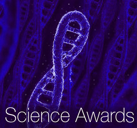 Lifeline Primary Cells and Optimized Media Studies