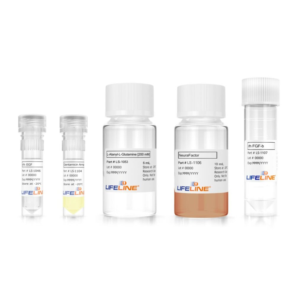 Neural Stem Cell Media Kits