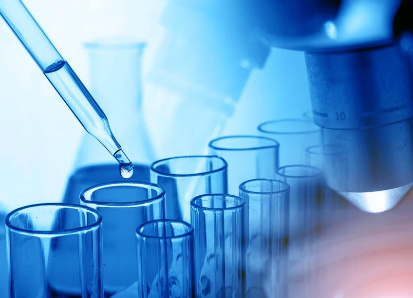 5 Things to Know about Primary Cells