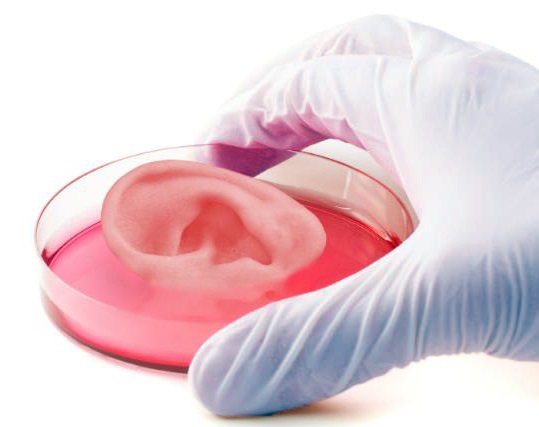 Lifeline® Cells and Culture Media in Research 2019