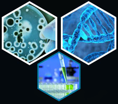 Research Studies Using Lifeline Cells: Review 2019