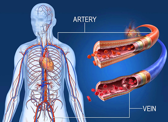 Target Treatment of Vascular Dysfunction in Diabetes