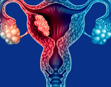Human Female Reproductive Cells Research