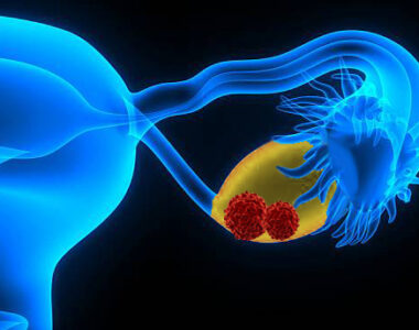 Female Reproductive Cells in Research Studies