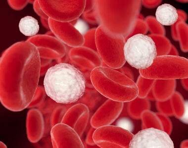 Lifeline Introduces Human Blood Cells
