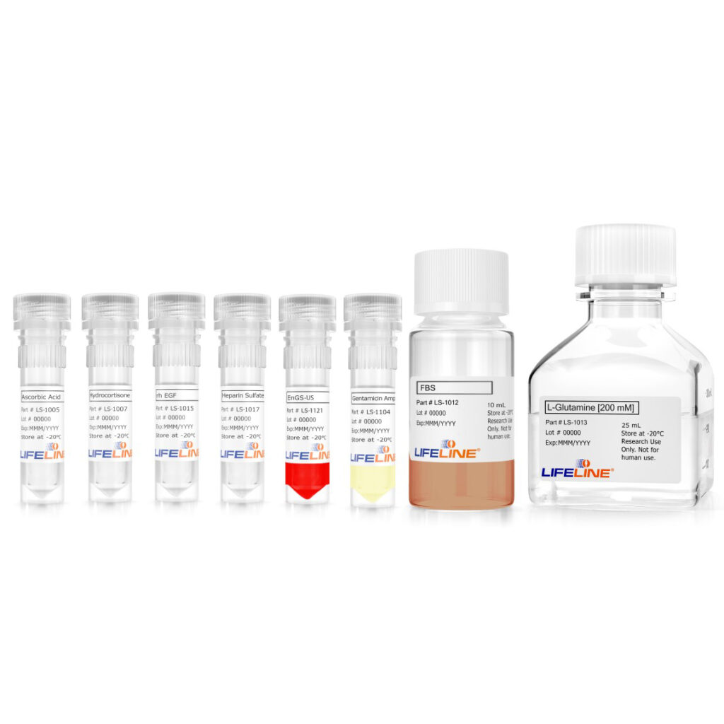 Primary Endothelial Cell Culture Media
