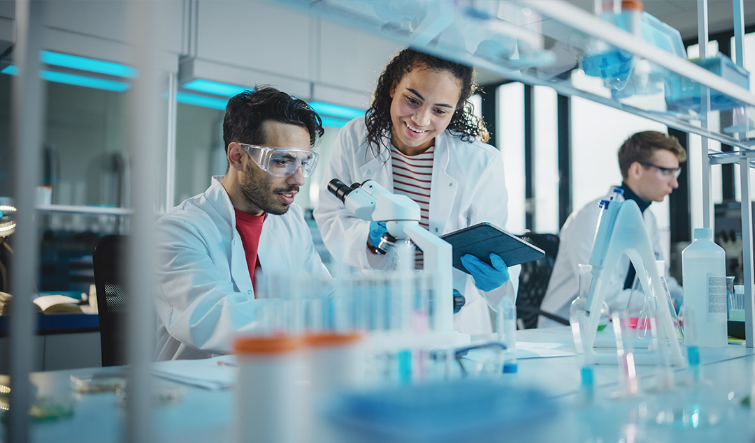 FAQ: How to Enhance The Success of Your Cell Culture