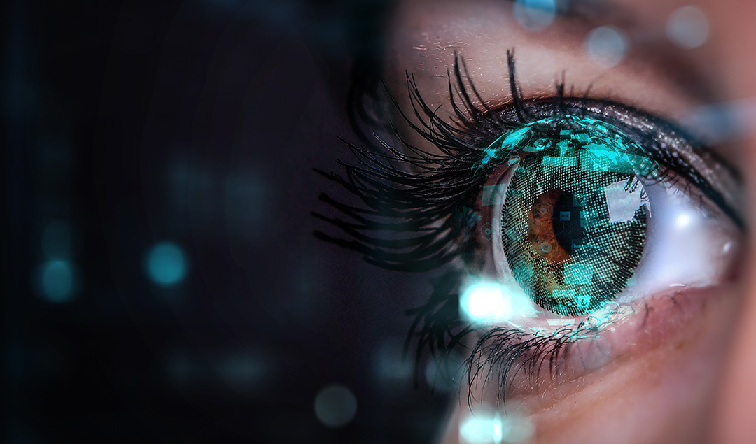 Eye Cells & Complete Media Kits