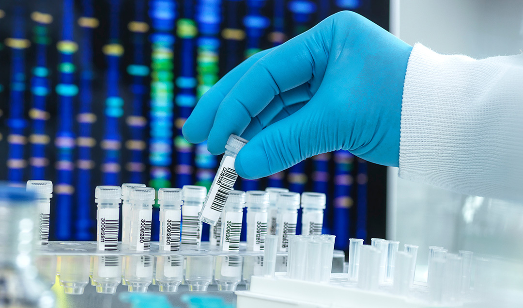 Enabling Research Success with Optimized Primary Cell Culture Media
