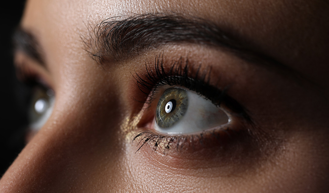 New Human Corneal Epithelial Cell Line for in vitro Ocular Toxicity Testing